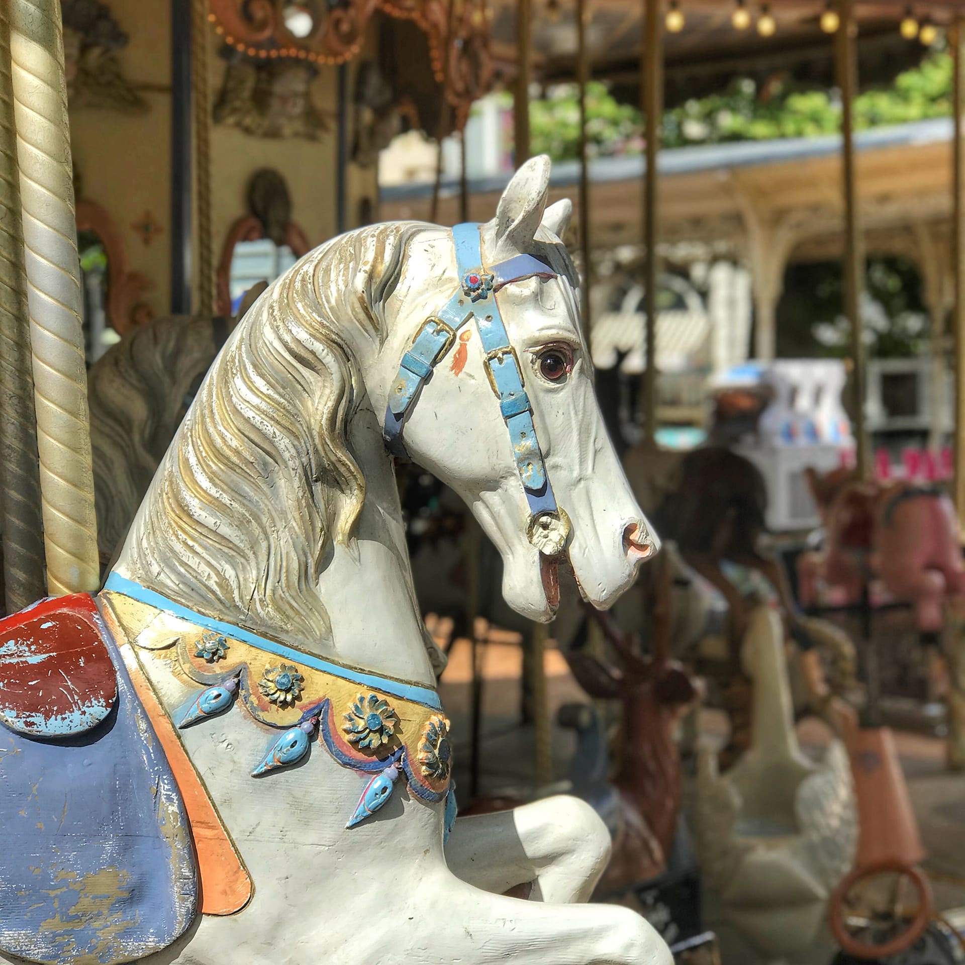 Carousel – Hart Events