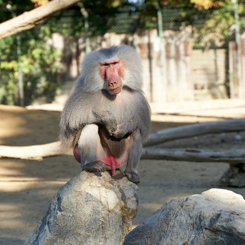 Kids Activities – Hart Events